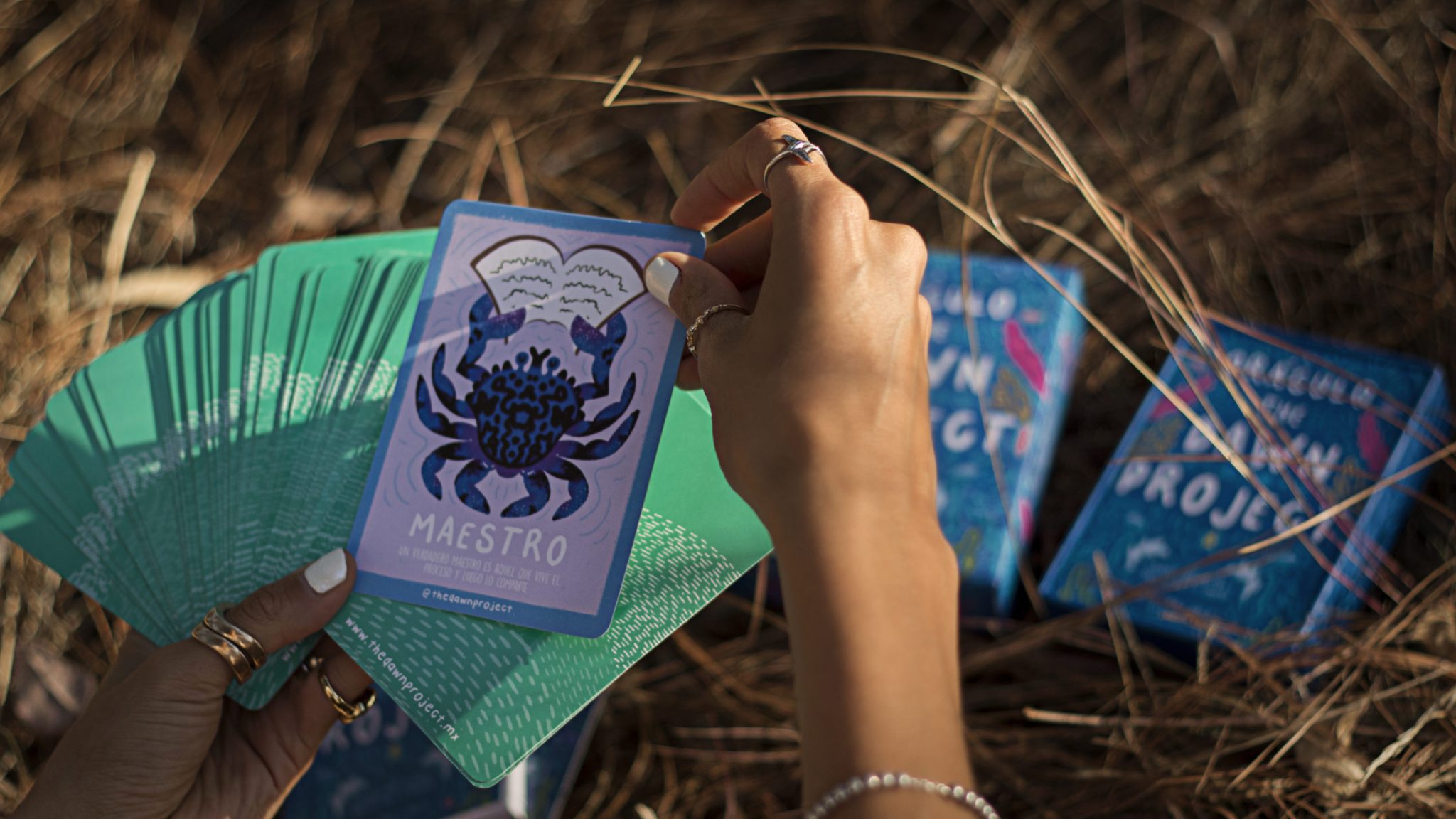 Oráculo The Dawn Project – The Dawn Project